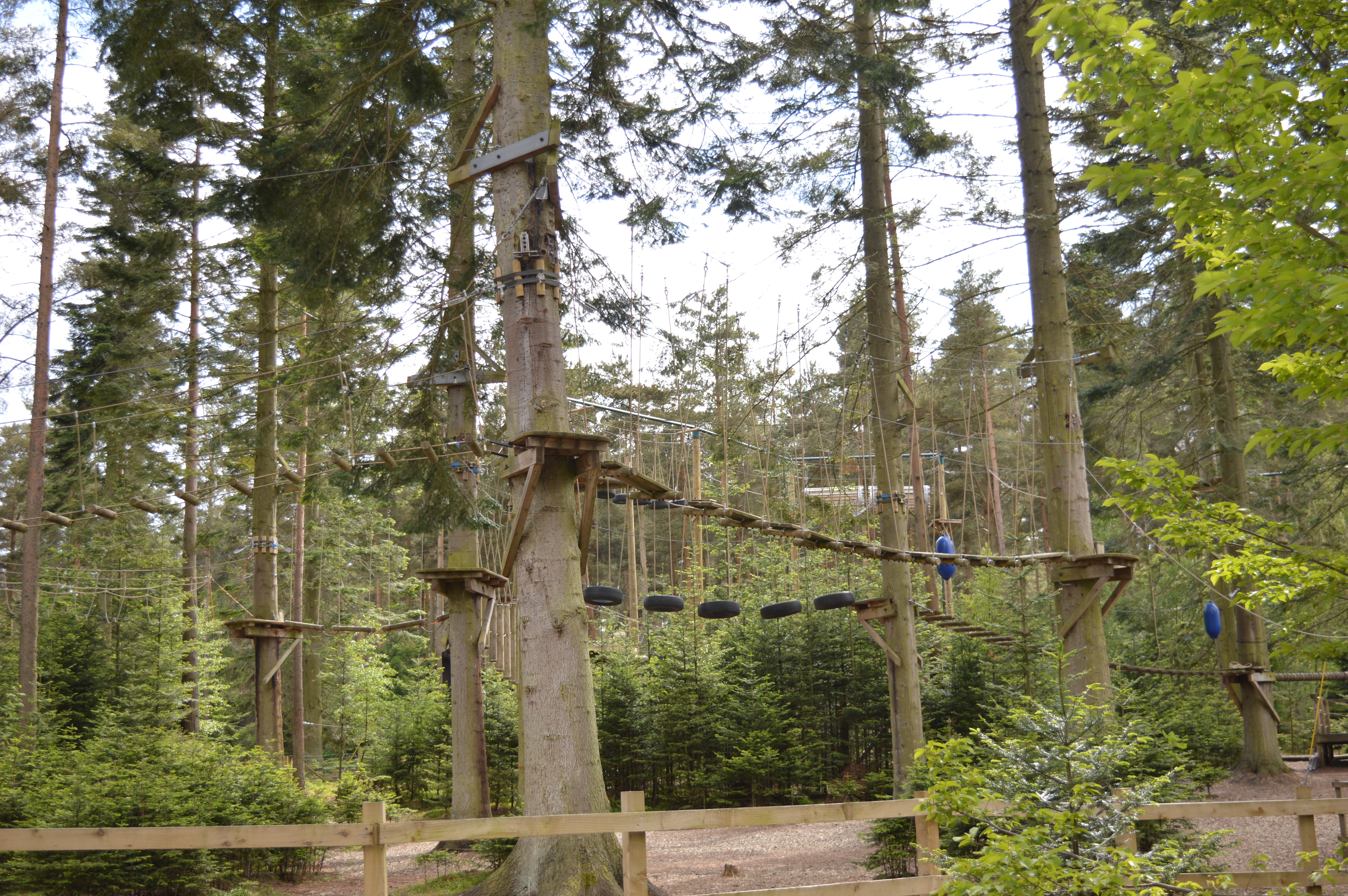 High ropes - There We Go